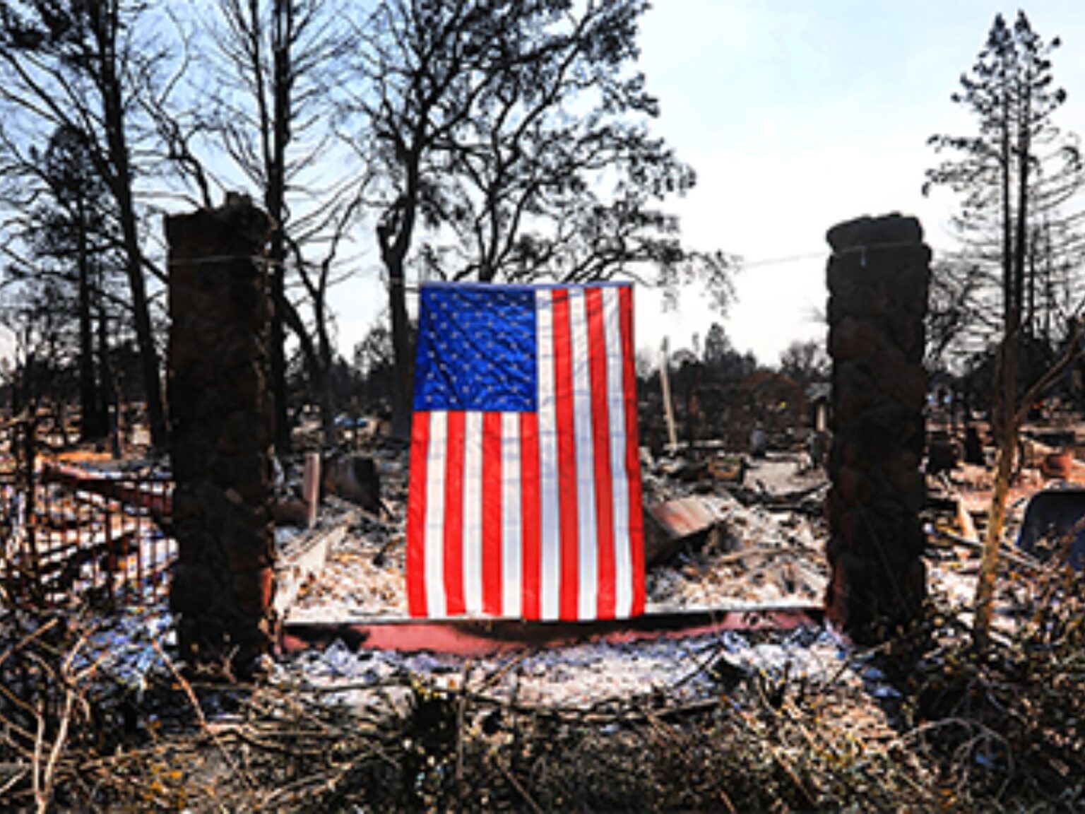 After the Fire USA – National Wildfire Recovery & Resilience Support